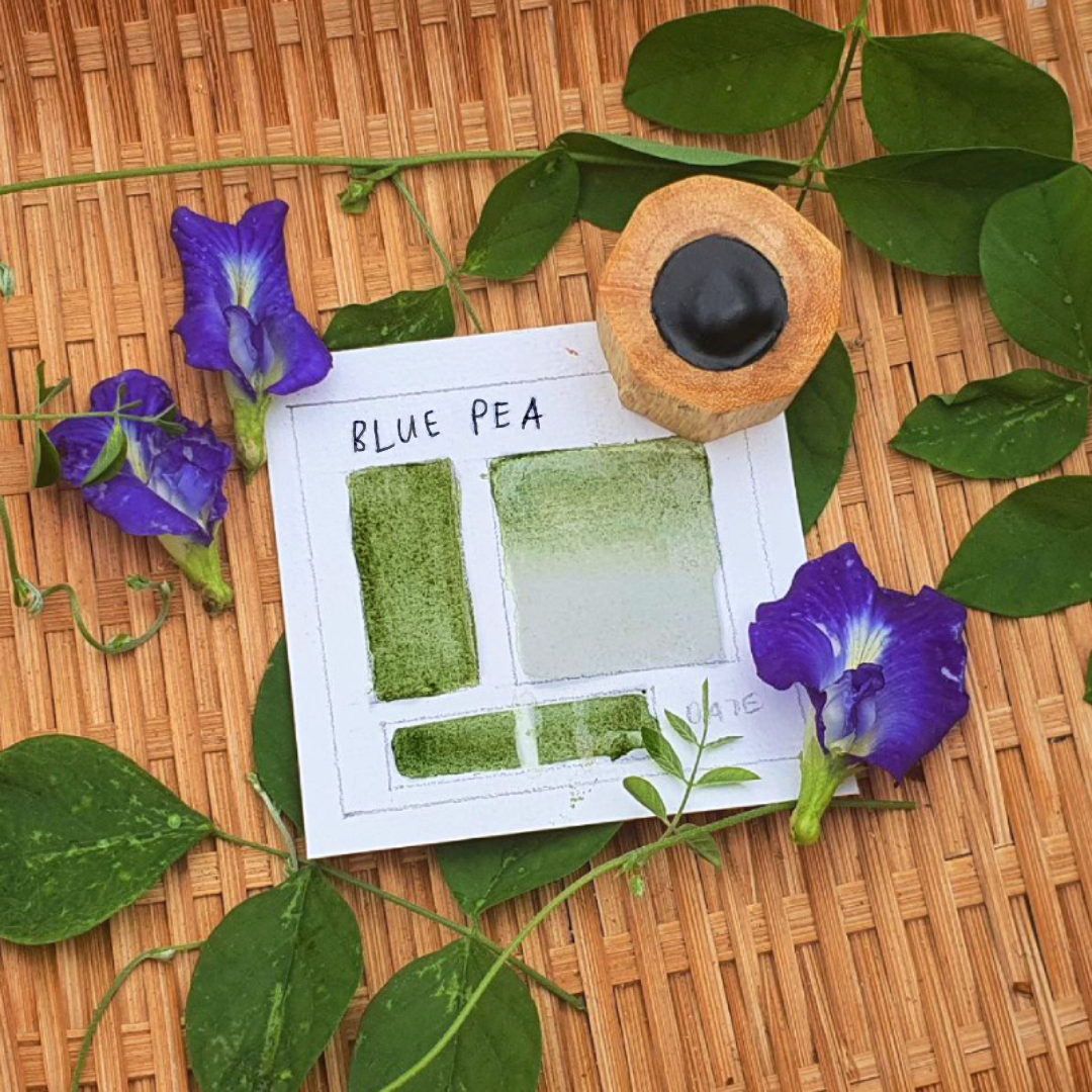 Blue Pea – Wild Dot